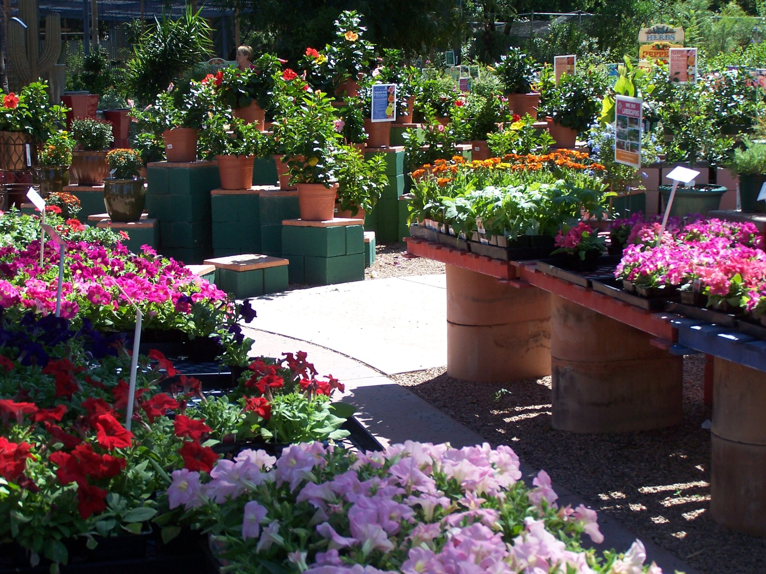 Harlow Gardens | Garden Nursery Tucson | Landscaping